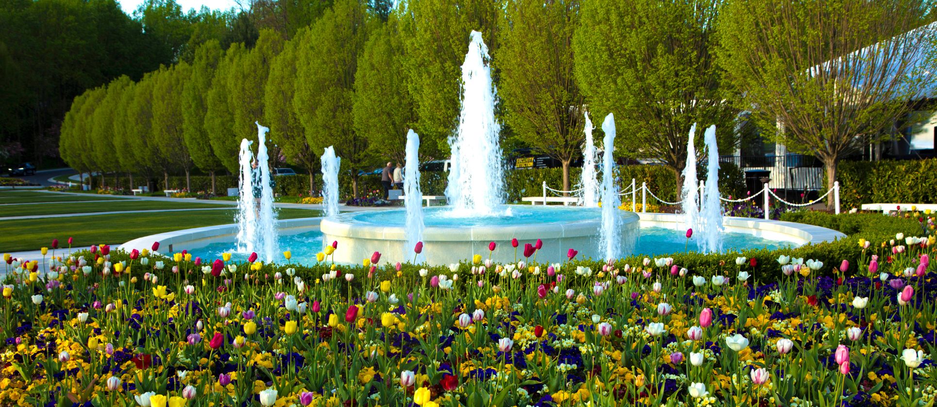 Events - DC Temple Visitors' Center