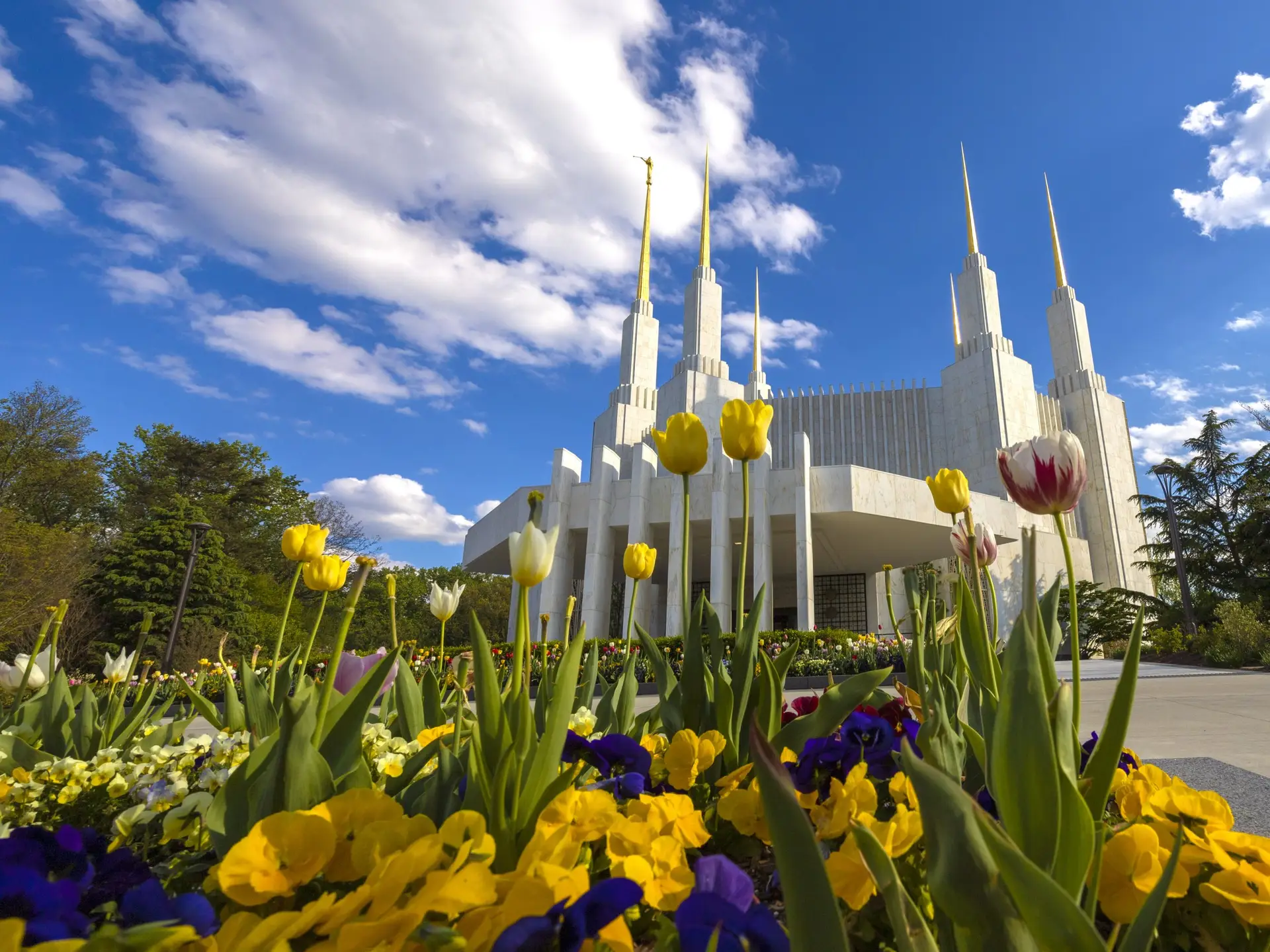 Welcome to the Washington D.C. Temple Visitors' Center