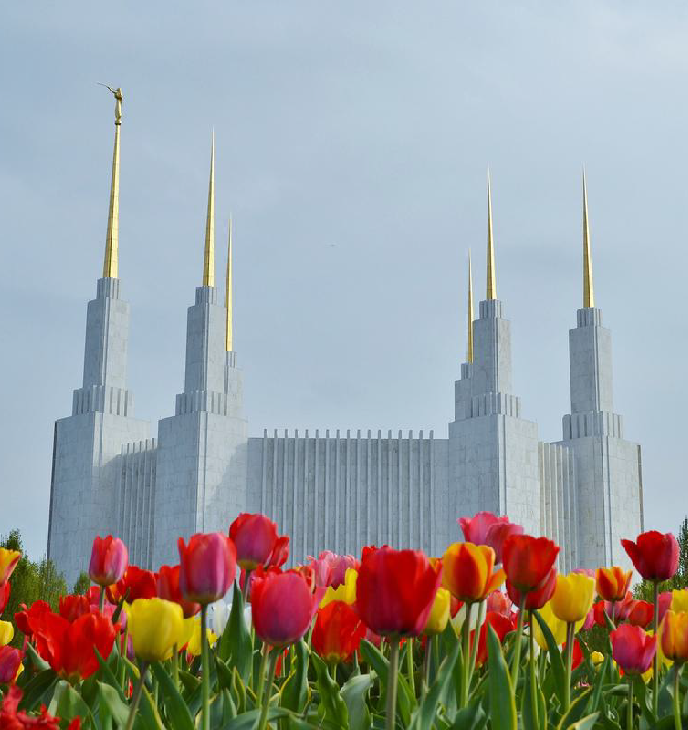 What is a Temple? - DC Temple Visitors' Center